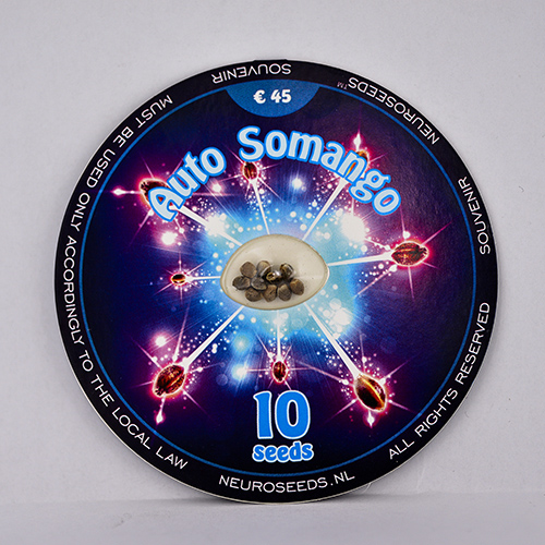 Buy Auto Somango - Weed(Cannabis) seeds online【NeuroSeeds】Best Prise!